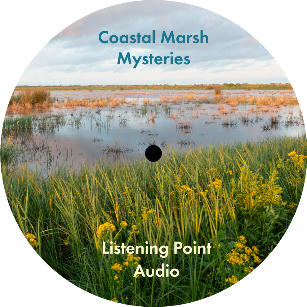 Coastal Marsh Mysteries – Listening Point